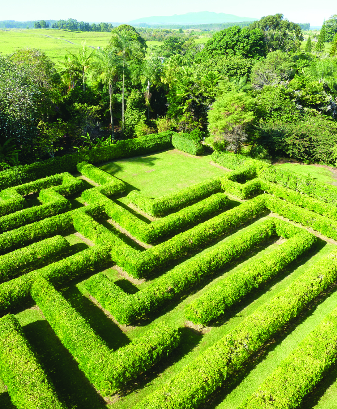 Botanical Gardens Tour | Botanical World Adventures