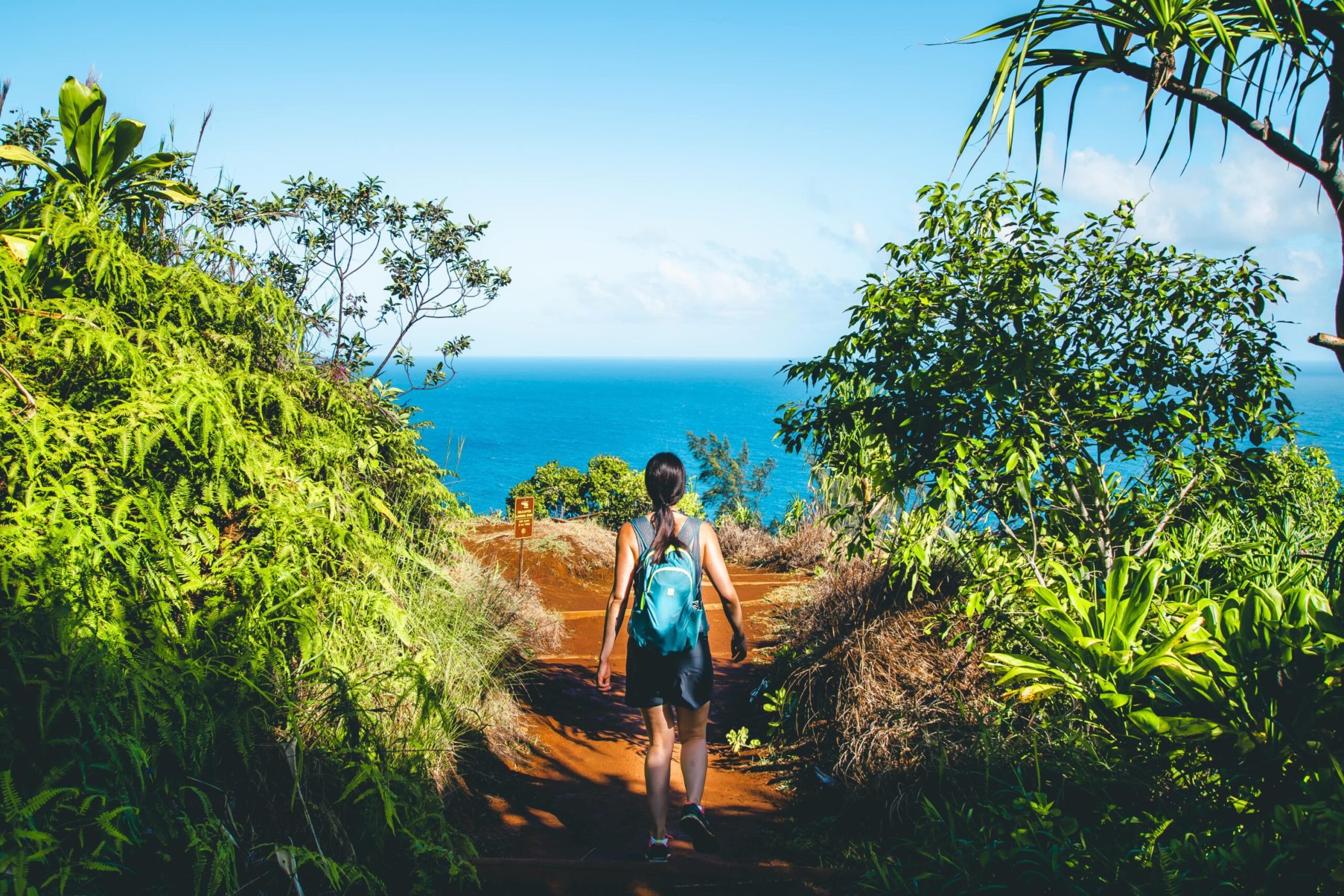 The Ideal Big Island Adventure: A Guide For Every Type Of Traveler ...