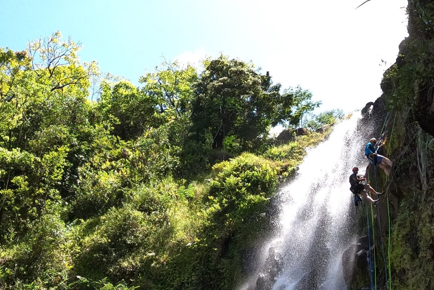 Zip Defined | Botanical World Adventures